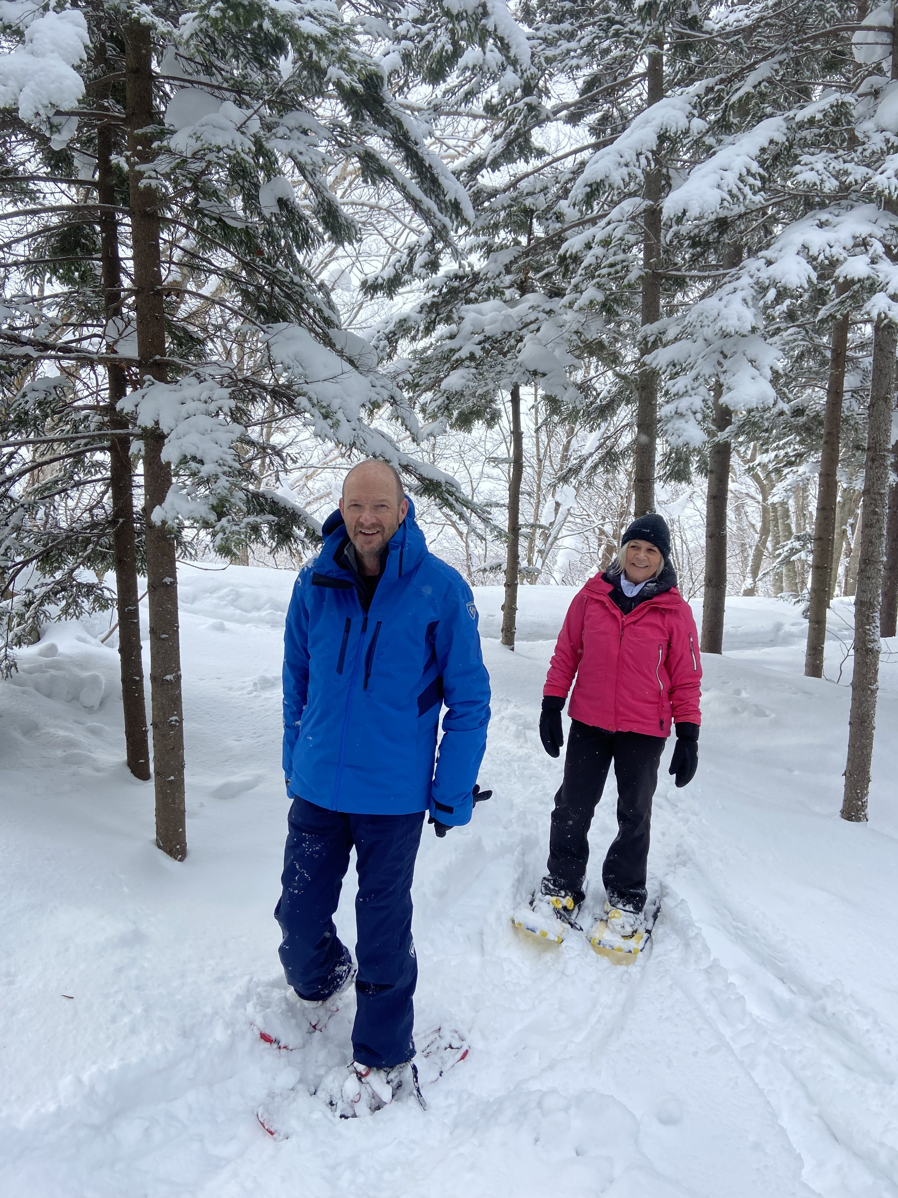 Snowshoeing in the Spring | Explore Niseko