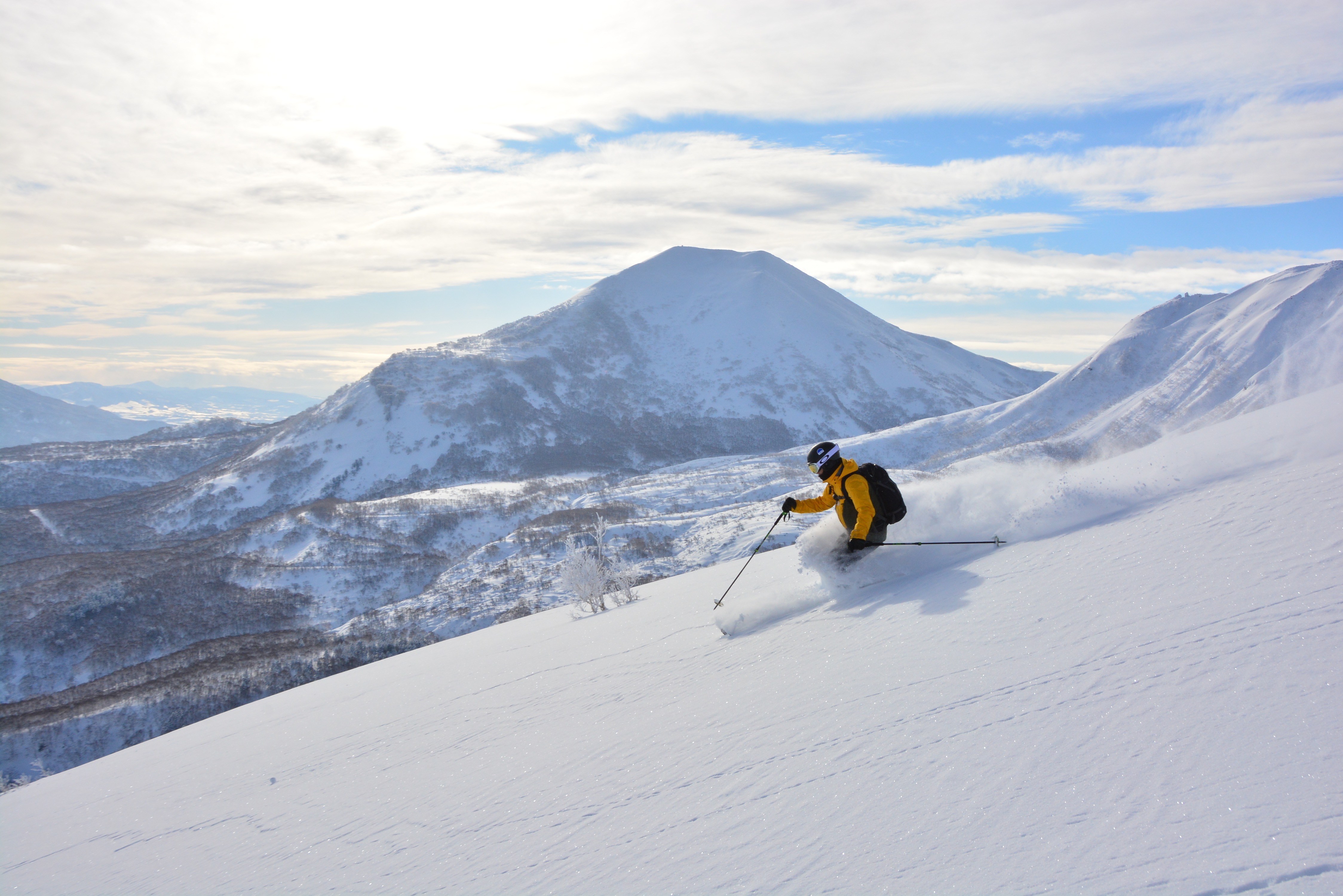 Weiss Powder Cats | Explore Niseko
